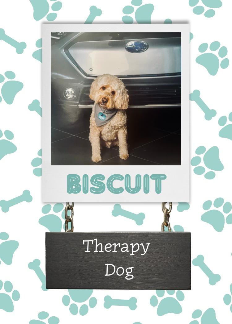 Therapy Dog Trading Cards - Etsy