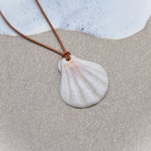Necklace Sea Shell on 20 Inch Leather Cord Natural Shell Leather Cord ...