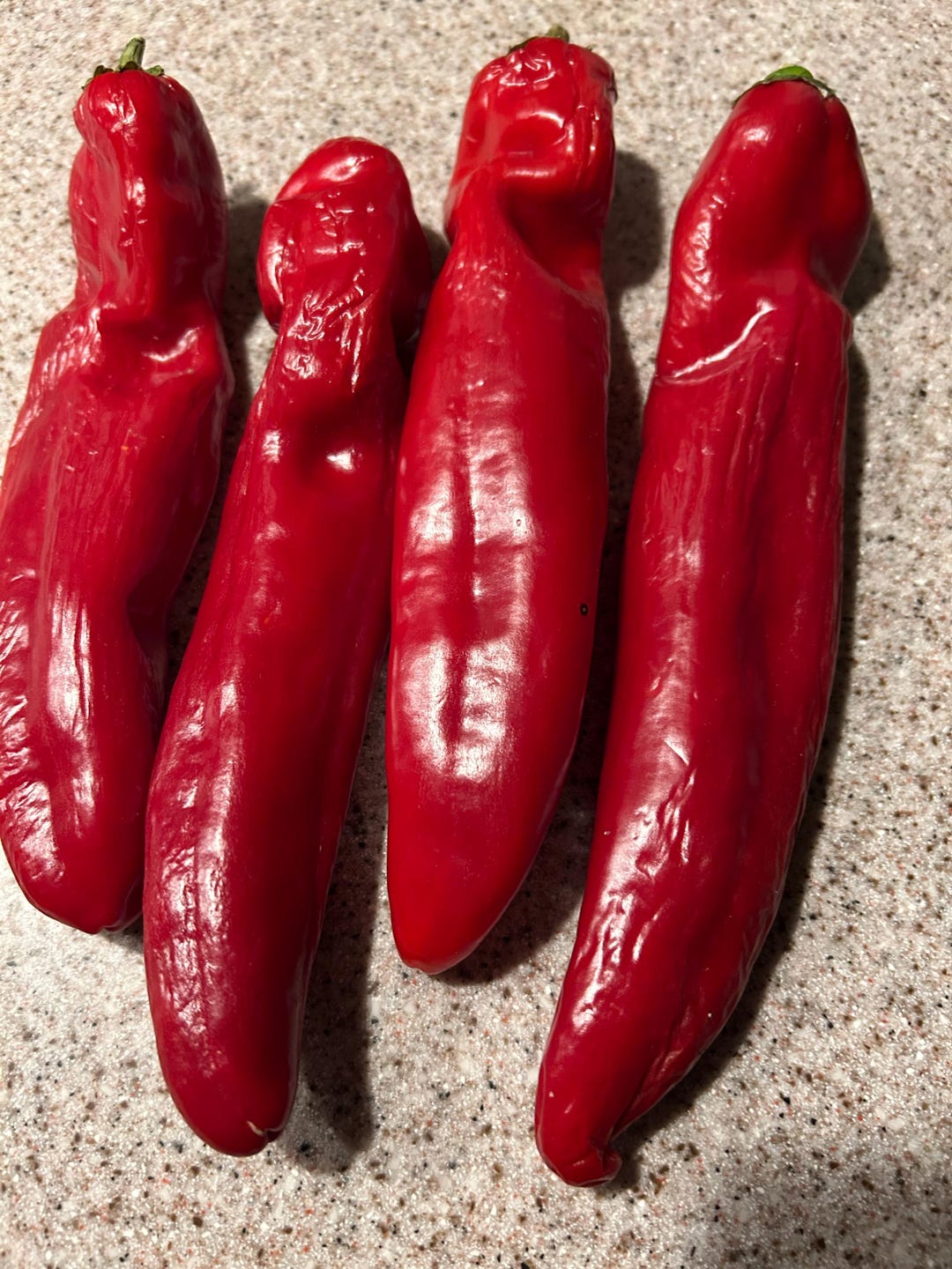 Long GIANT RED Sweet PEPPER Seeds - Etsy