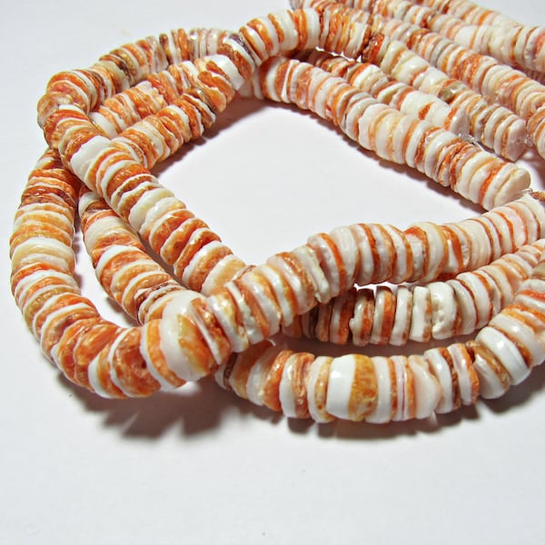 Spiny Oyster Beads - Etsy