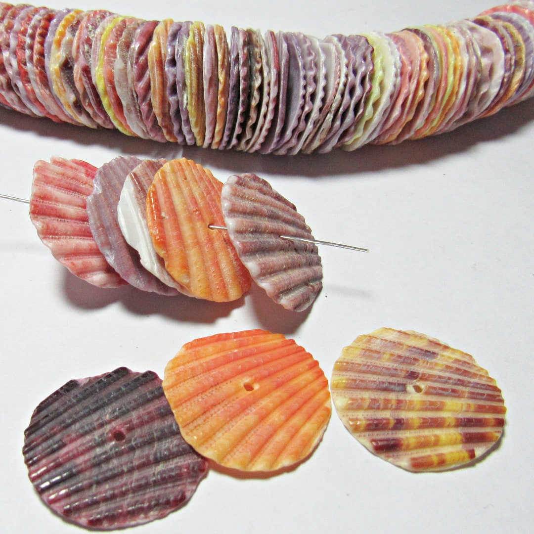 Natural Pectin Shell Heishi Wavy Chip 25mm Beads 20 Pcs Bright Multi ...
