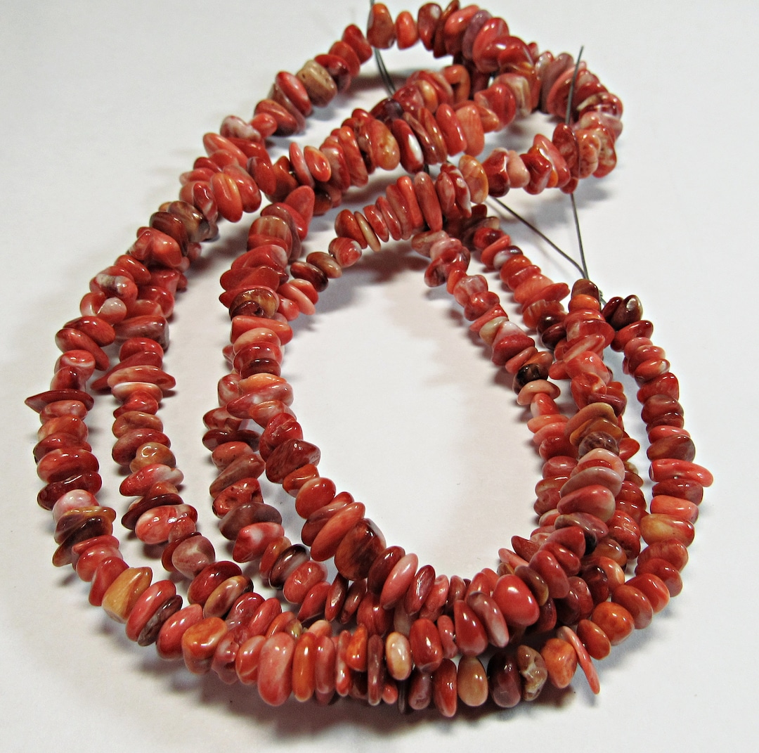 AA Natural Red Spiny Oyster Shell Graduated Chip Beads 16" - Etsy