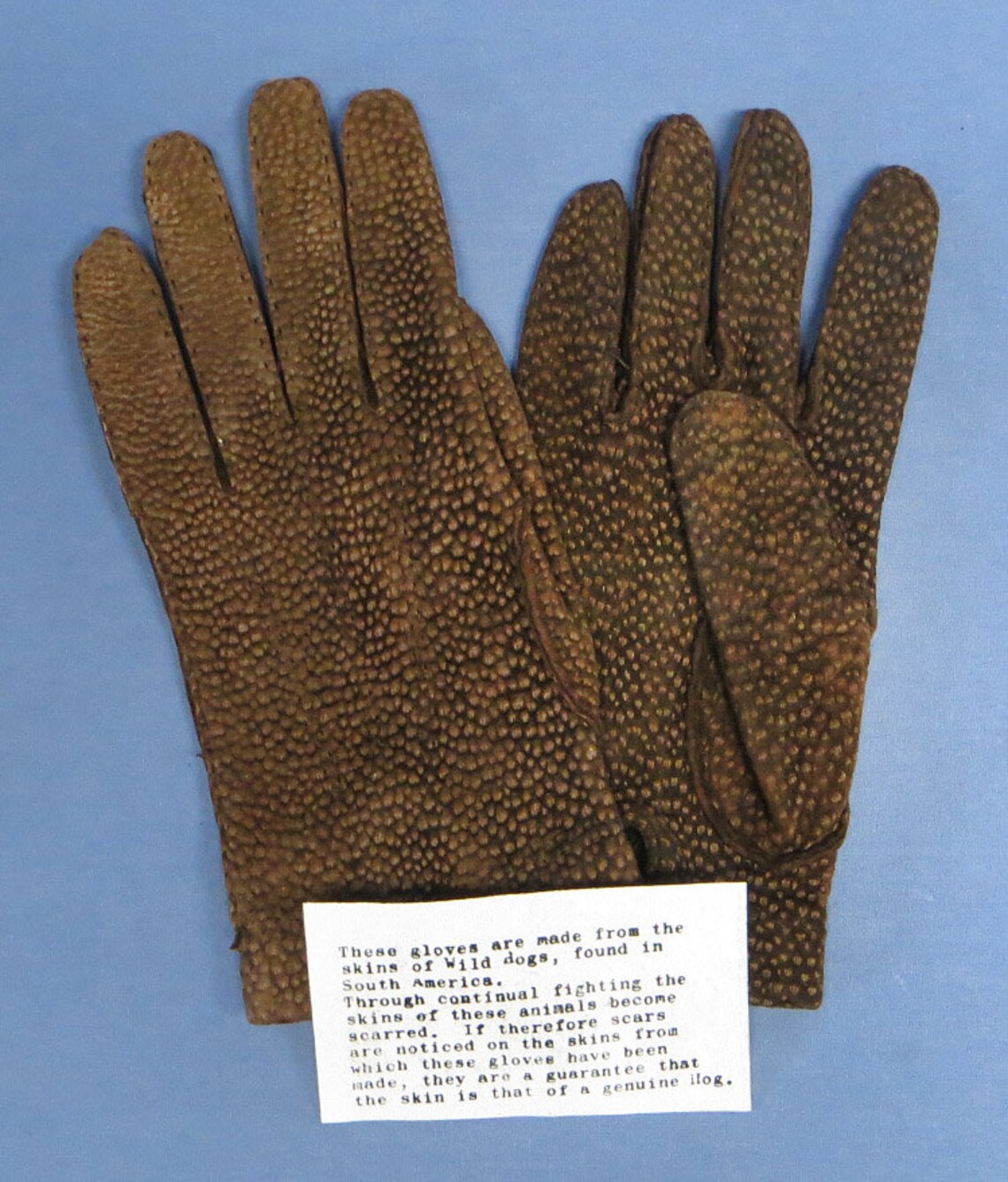 Rare Vintage Pair of Authentic Burberry Hogskin Gloves Size 7 - Etsy