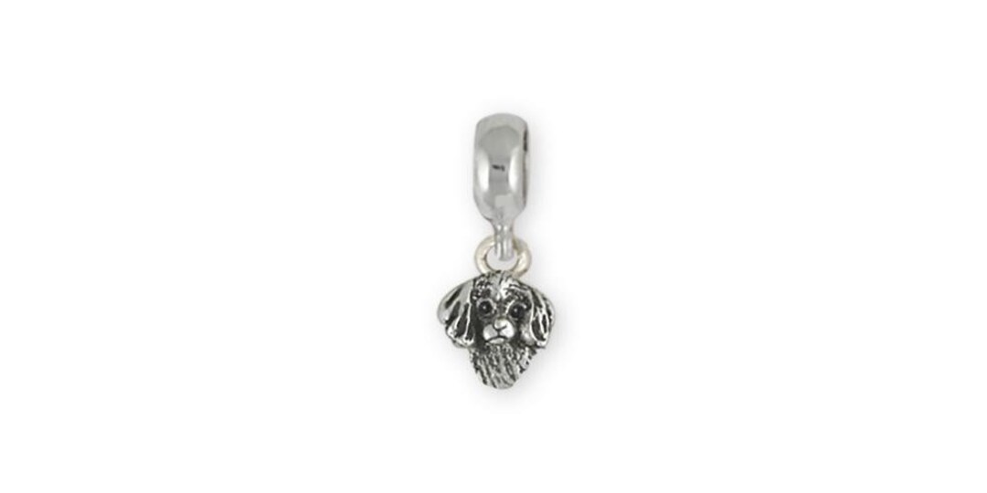 Cavalier Pandora Charm Jewelry Cavalier King Charles Spaniel Puppy ...
