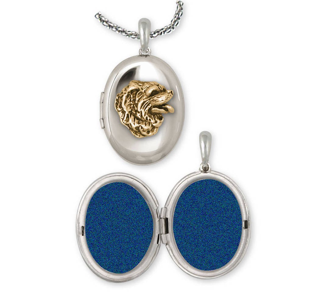 Chow Chow Photo Locket Jewelry Silver and Gold Handmade Dog Photo ...
