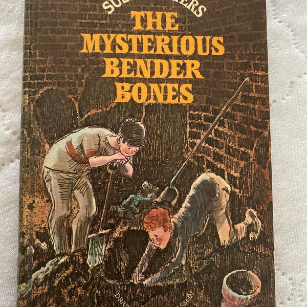 The Light at Tern Rock By: Julia Sauer PB 1994 A Newbery Honor Book - Etsy