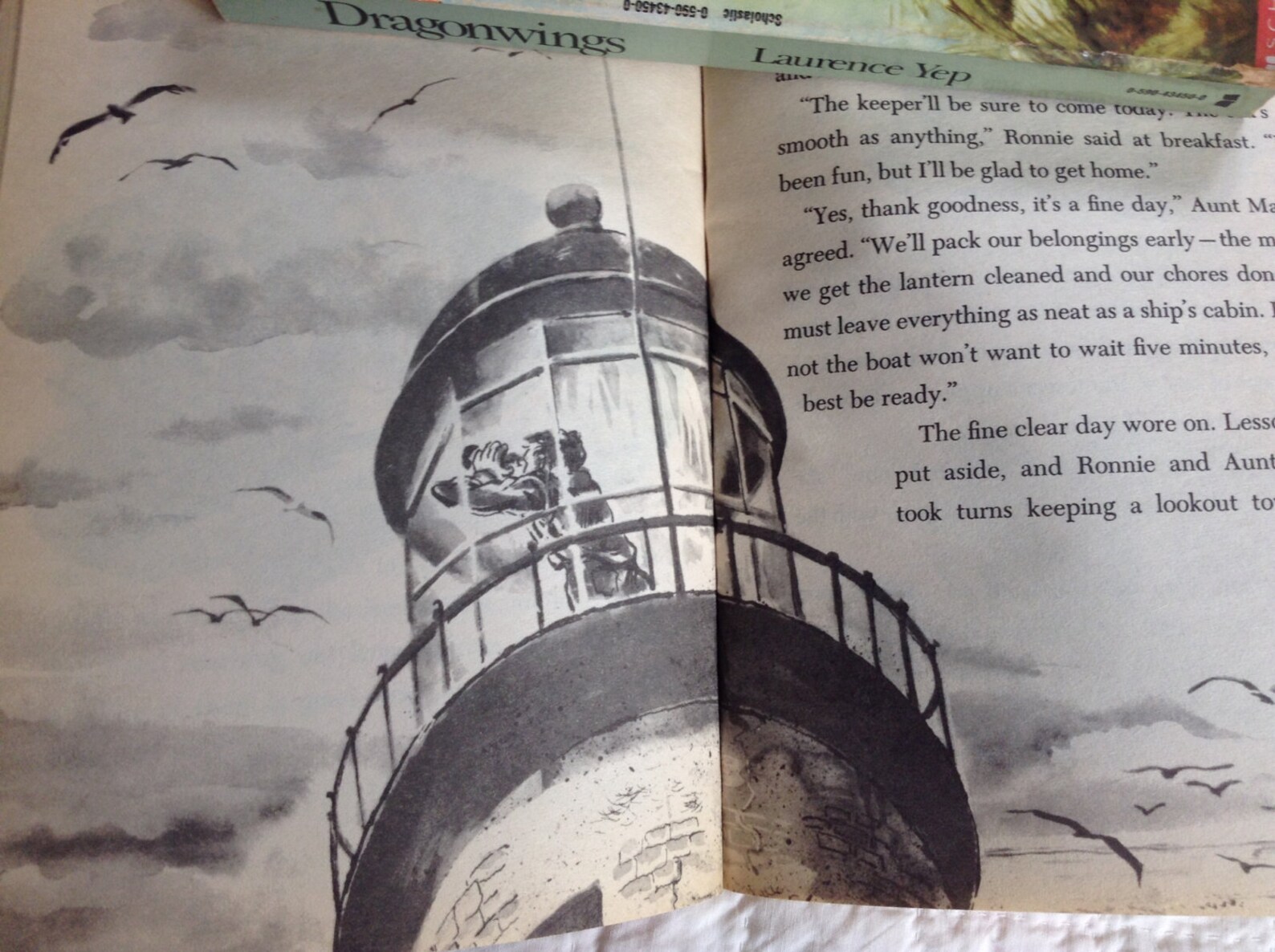 The Light at Tern Rock By: Julia Sauer (PB) (1994) A Newbery Honor Book ...