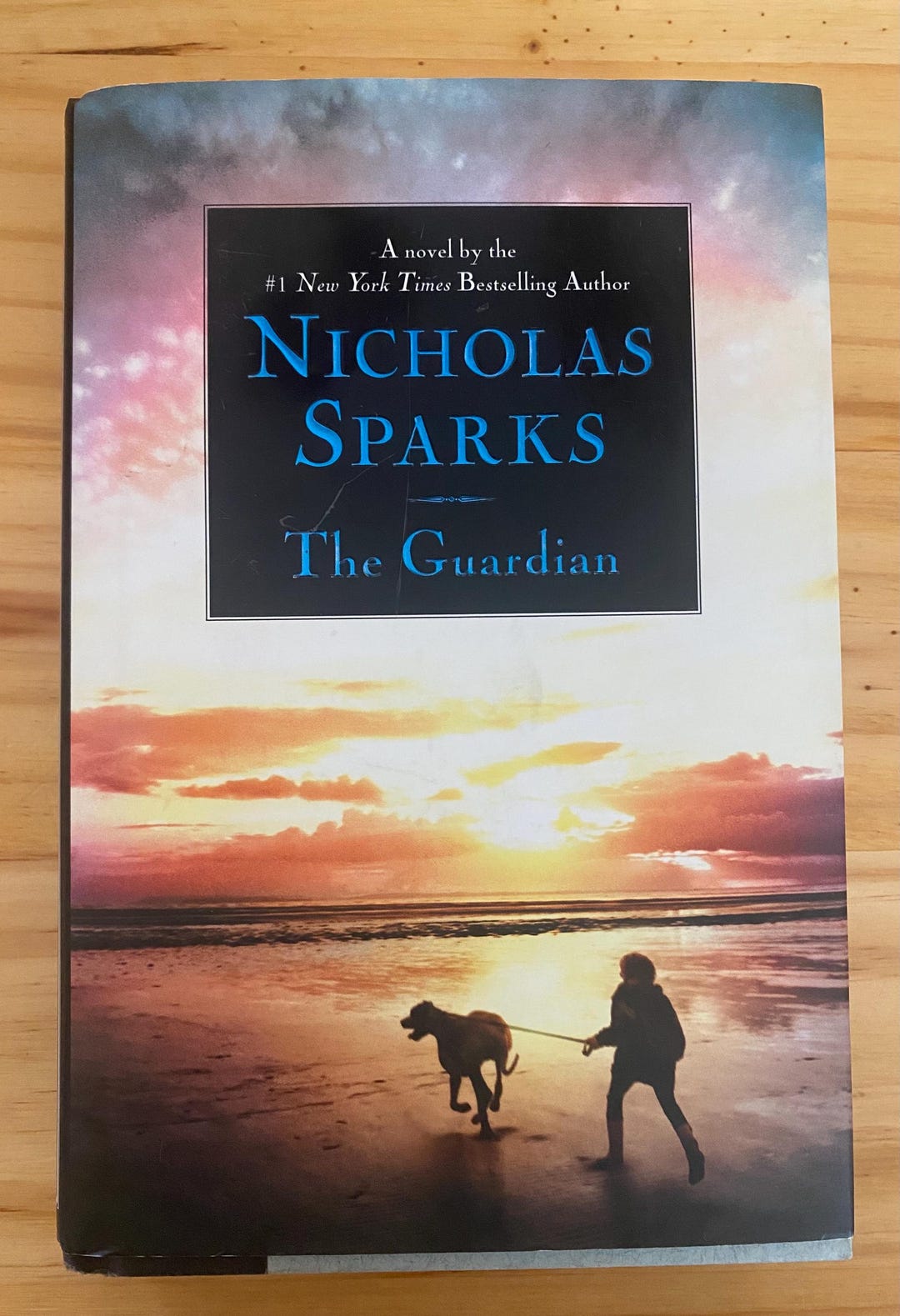THE GUARDIAN By: Nicholas Sparks, First Edition (hcdj, 2003) - Etsy