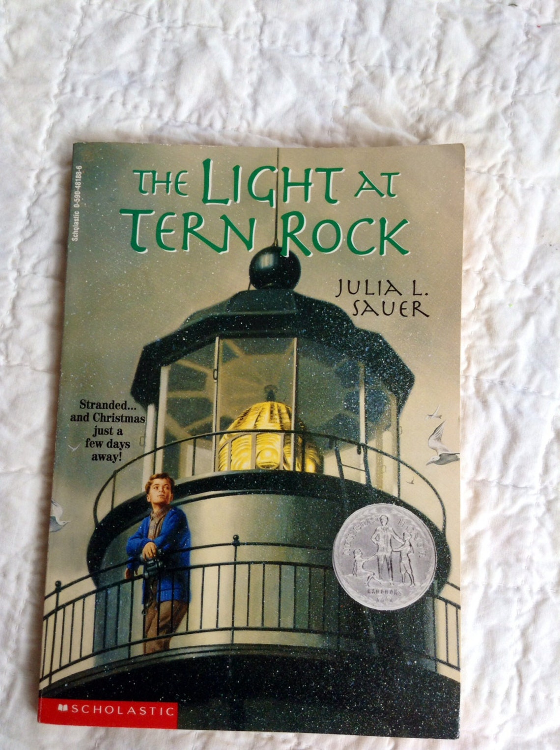 The Light at Tern Rock By: Julia Sauer (PB) (1994) A Newbery Honor Book ...