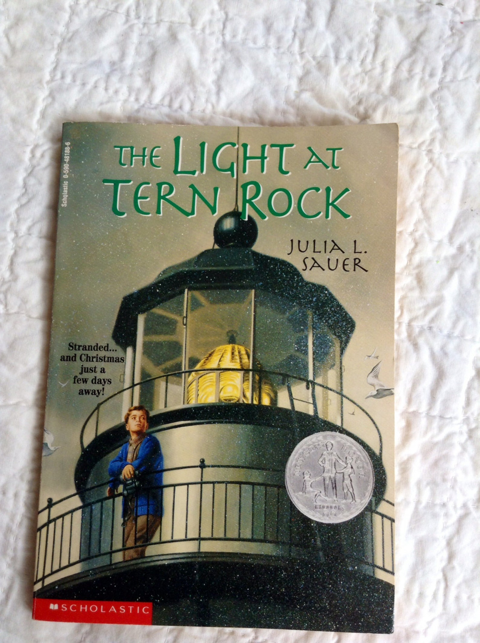 The Light at Tern Rock By: Julia Sauer (PB) (1994) A Newbery Honor Book ...