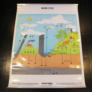 Water Cycle Scientific Classroom Illustration Poster Chart Wall Hanging ...