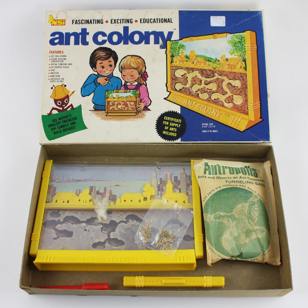 Vintage Ant Colony Toy Set in Original Box / Suburban City Ant Farm ...
