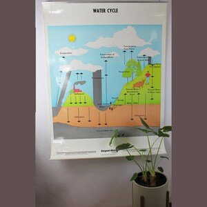 Water Cycle Scientific Classroom Illustration Poster Chart Wall Hanging ...