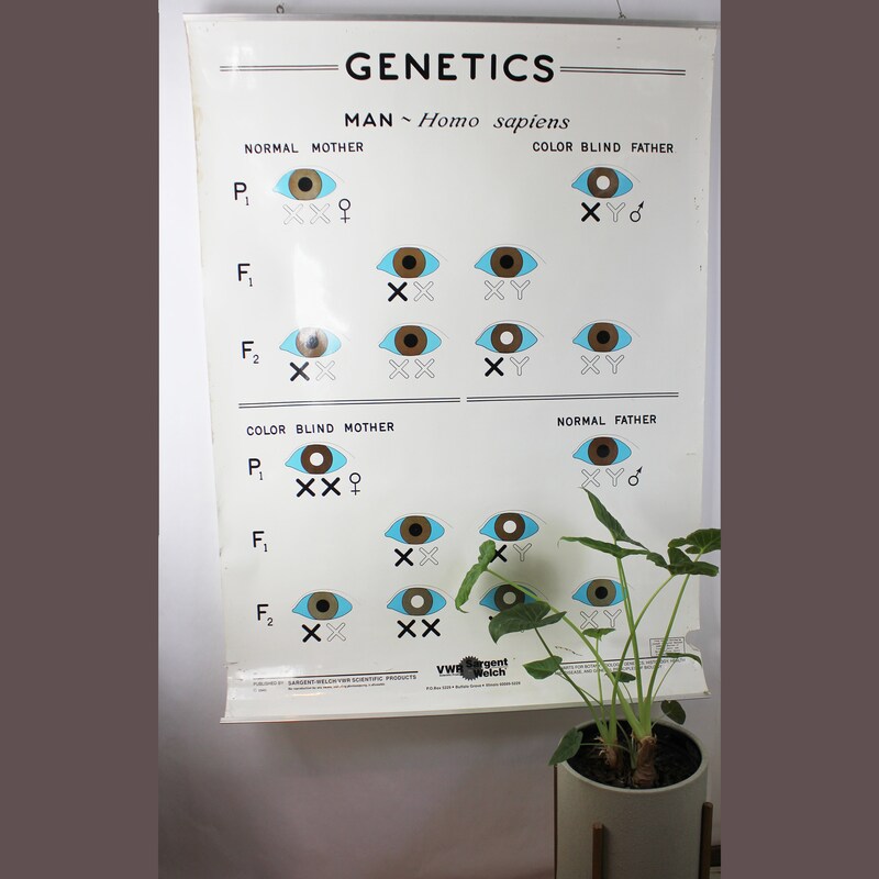 Genetics - Etsy