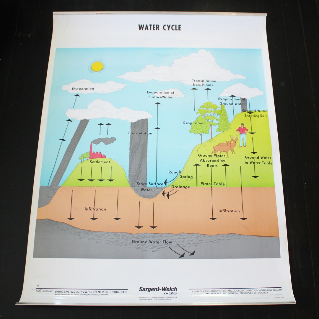 Water Cycle Scientific Classroom Illustration Poster Chart Wall Hanging ...