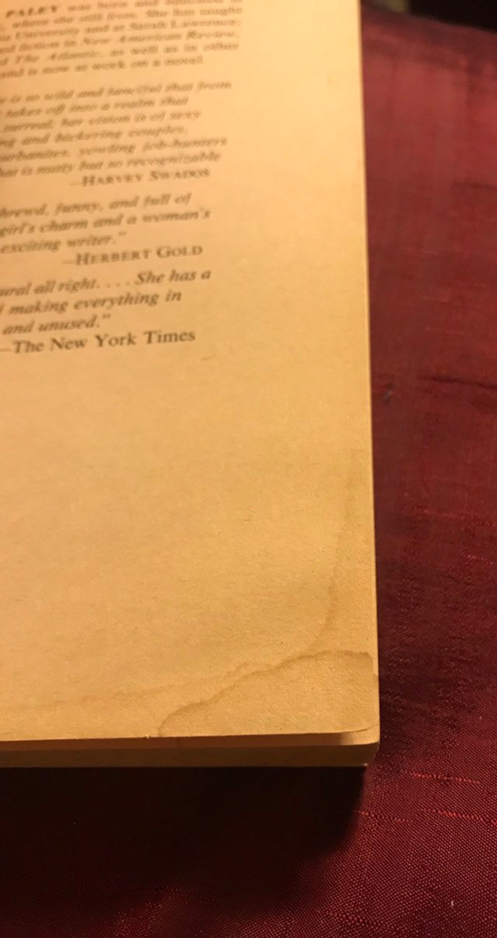 1973 the Little Disturbances of Man, Grace Paley - Etsy