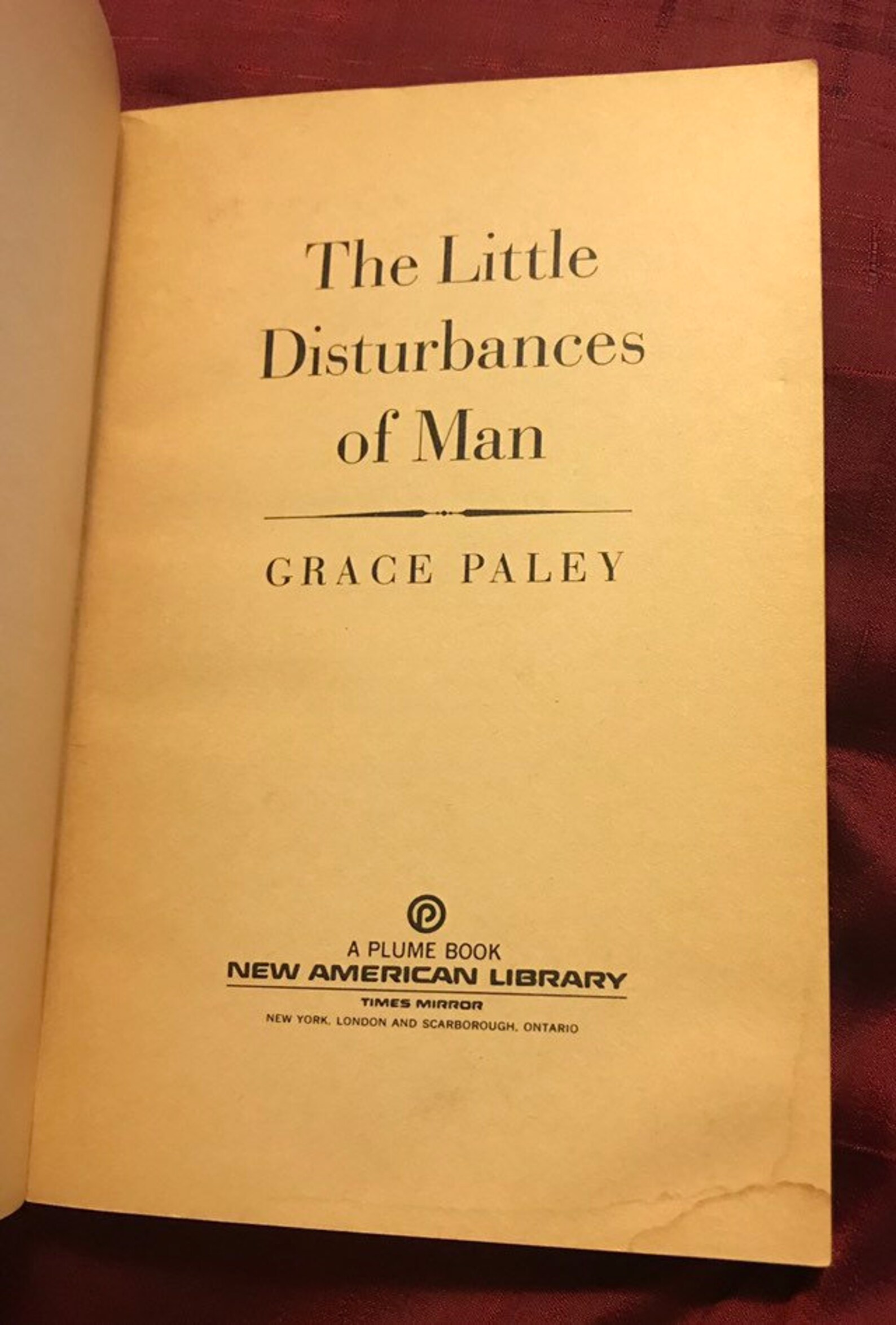 1973 the Little Disturbances of Man, Grace Paley - Etsy