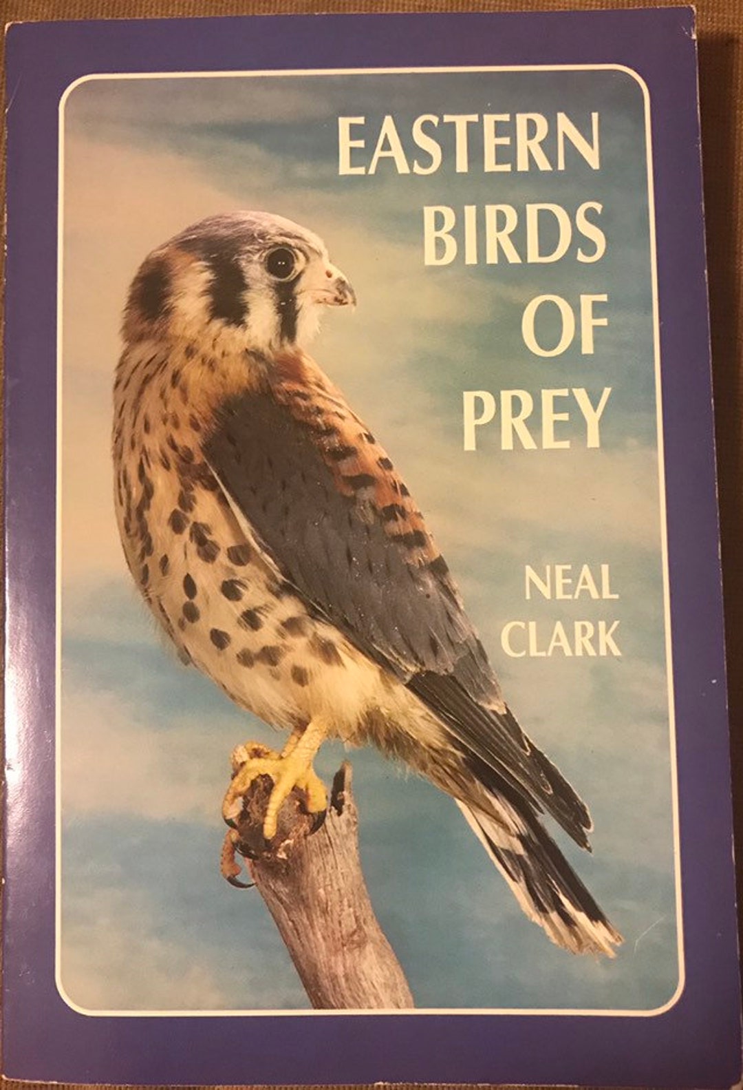 Eastern Birds of Prey: A Guide to the Private Lives of Eastern Raptors ...