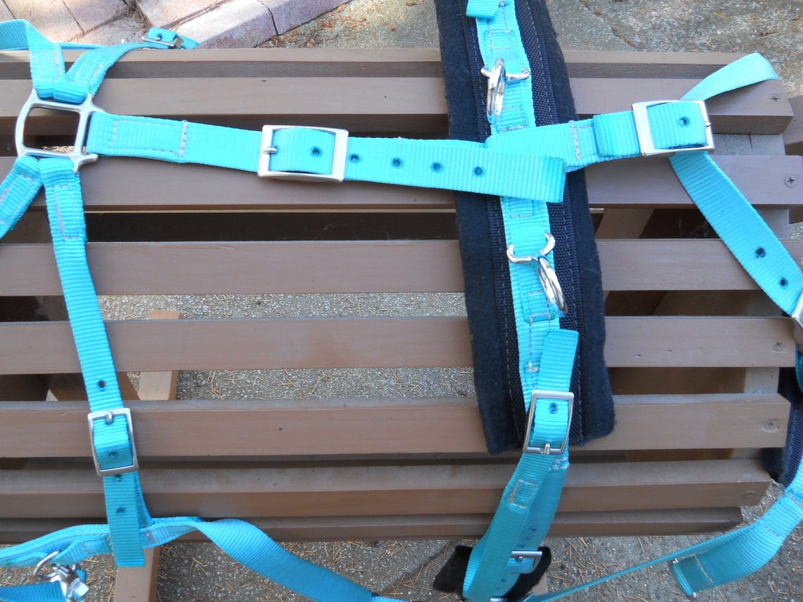 Goat Harness Nylon Web - Etsy