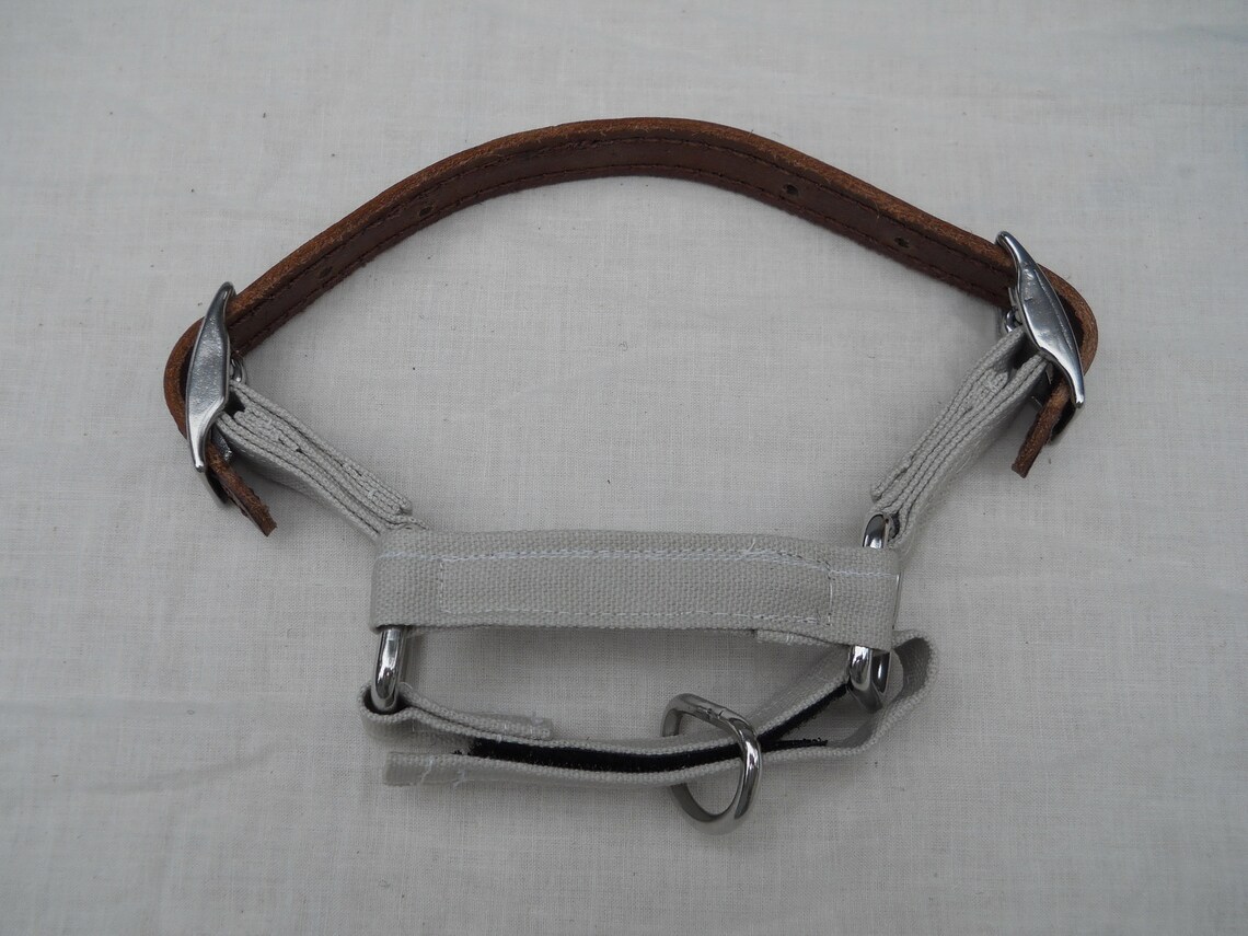 Lightweight Adjustable Goat Halter Pygmy and Nigerian Dwarf - Etsy