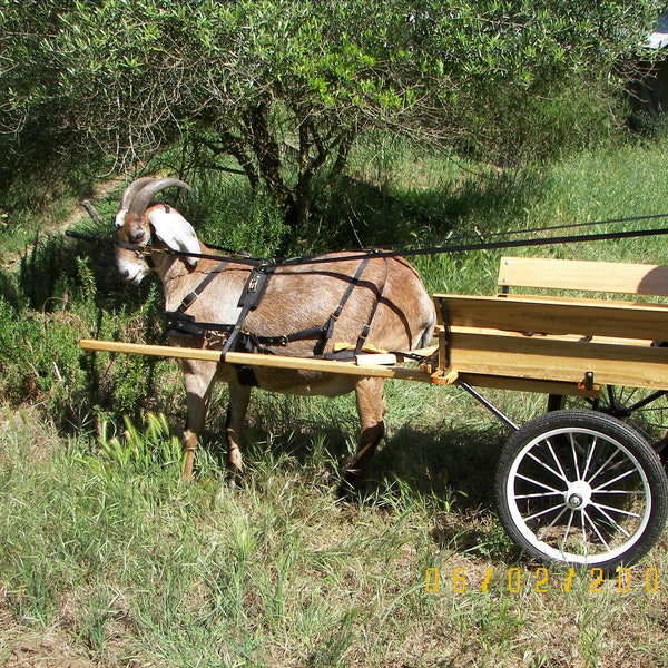 Goat Cart - Etsy