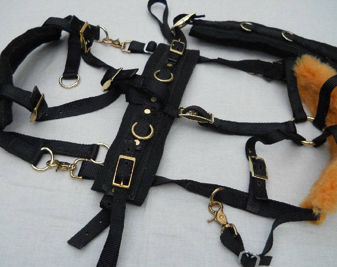 Goat Harness Nylon Web - Etsy