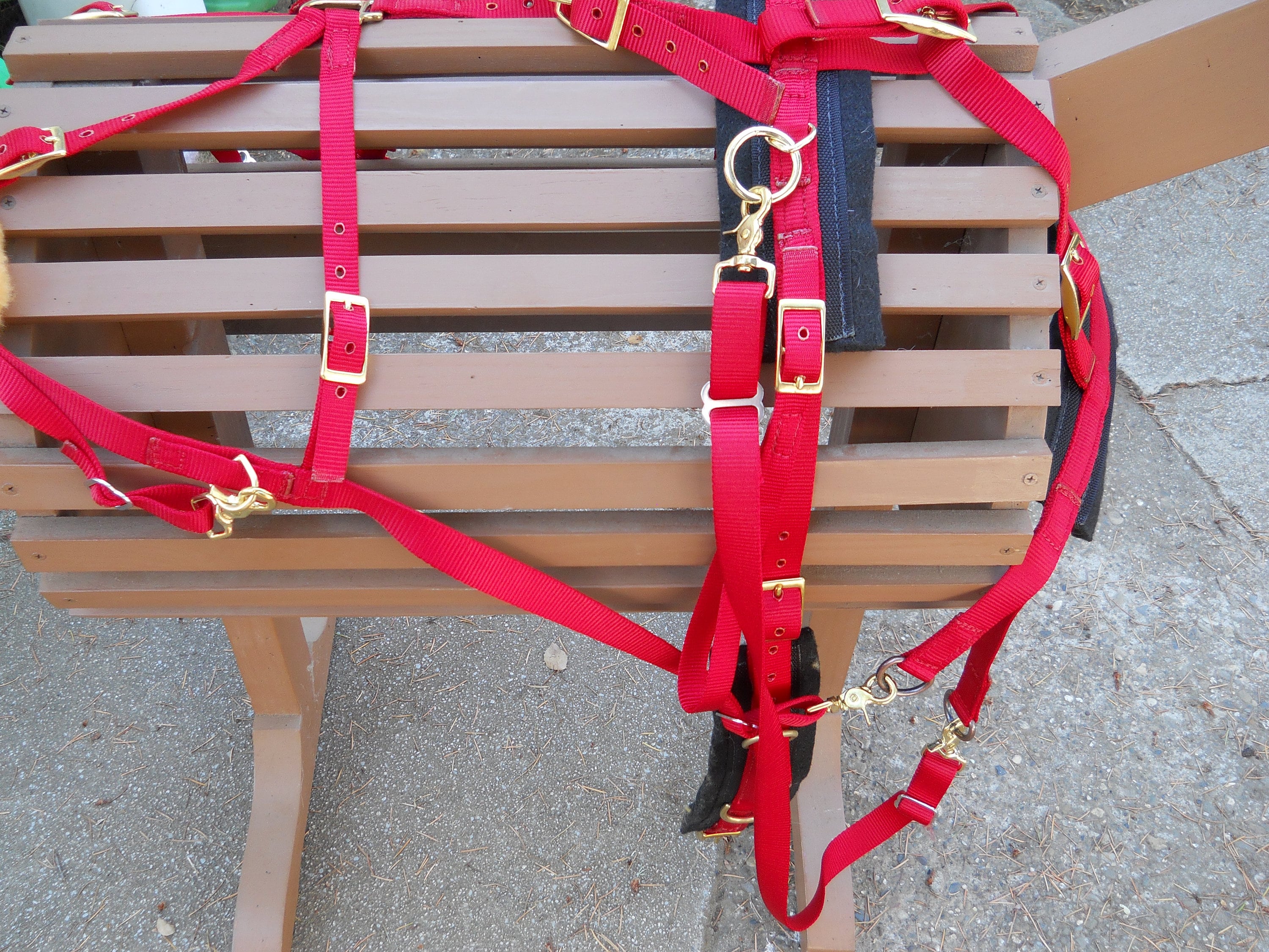 Goat Harness Nylon Web