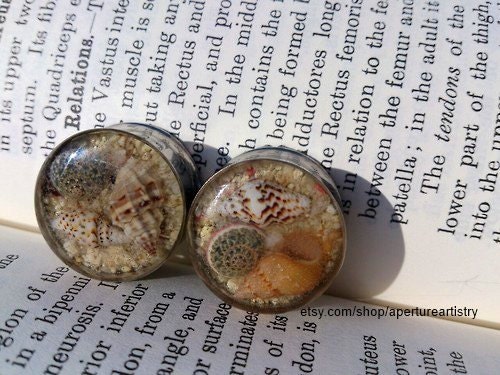 Seashell plugs with sand plugs. FOR PAIR. | Etsy