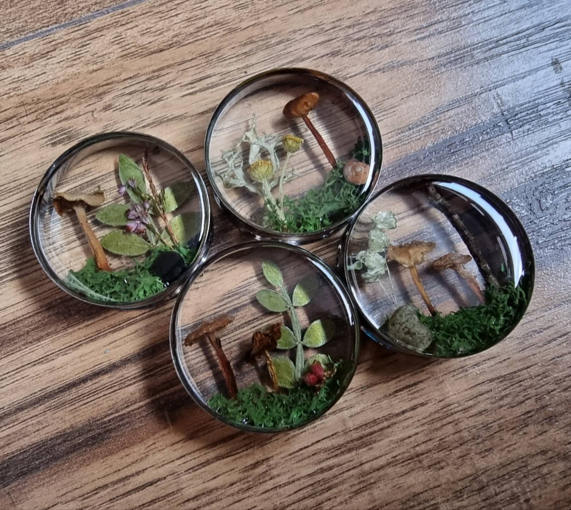Enchanted Forest Moss and Mushrooms Plugs. FOR PAIR. 10mm and - Etsy