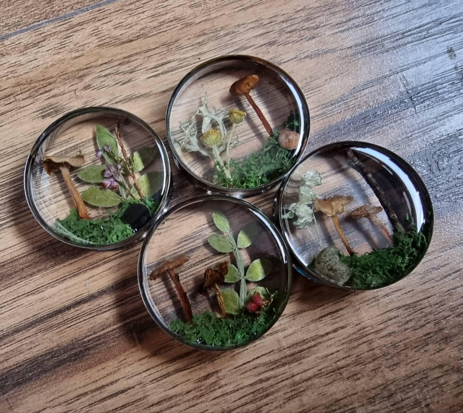Enchanted Forest Moss and Mushrooms Plugs. FOR PAIR. 10mm and - Etsy ...