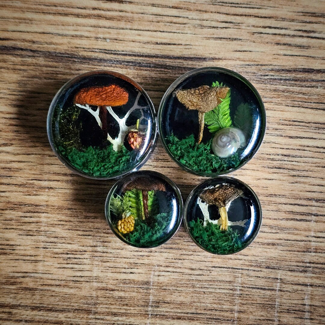 Black Enchanted Forest Black Background , Moss and Mushrooms Plugs. FOR ...