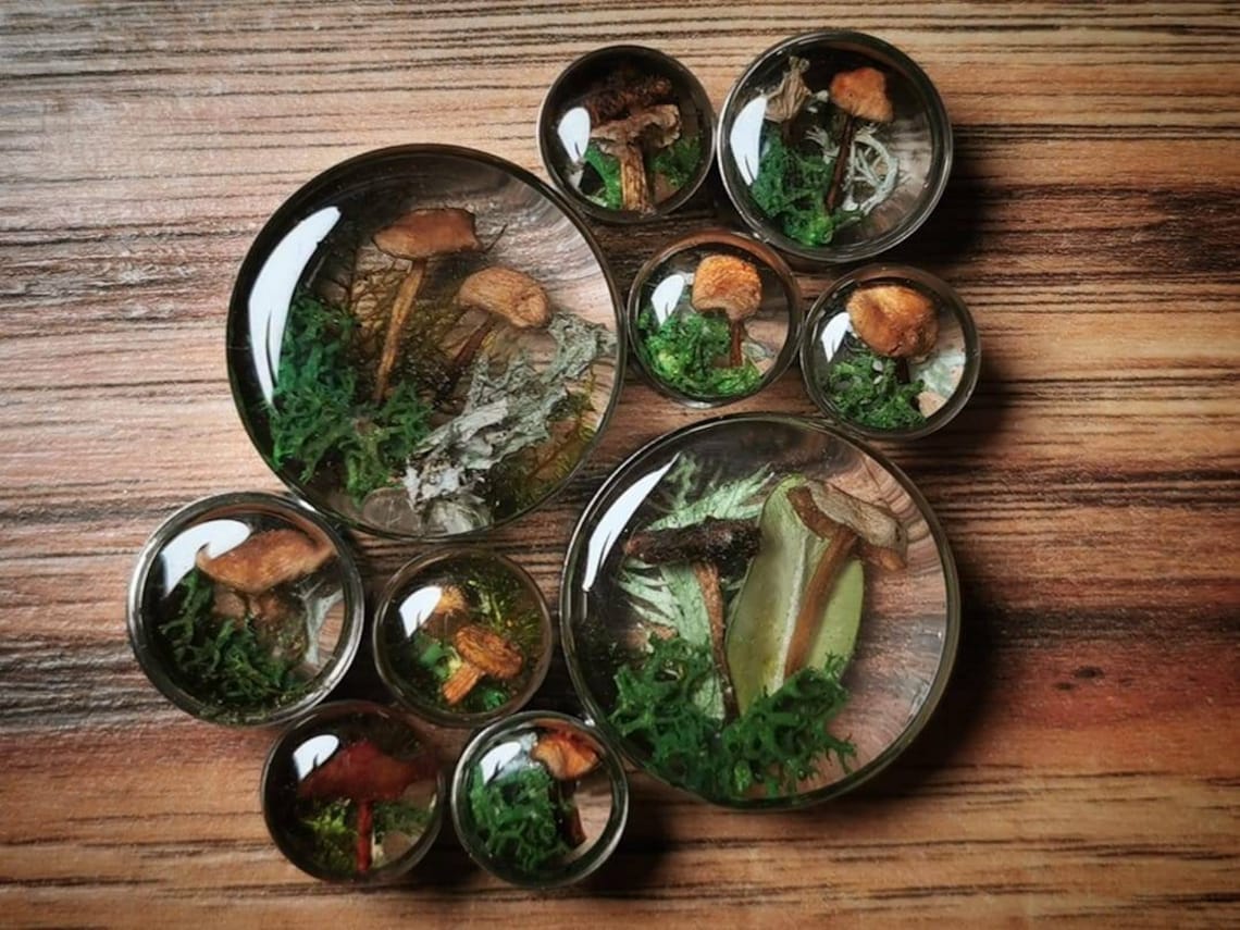 Enchanted Forest Moss and Mushrooms Plugs. FOR PAIR. 10mm and - Etsy