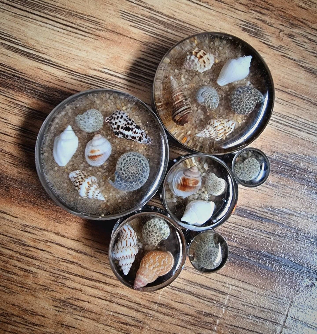 Seashell Plugs With Sand Plugs. FOR PAIR. Real Natural Seashells in a ...