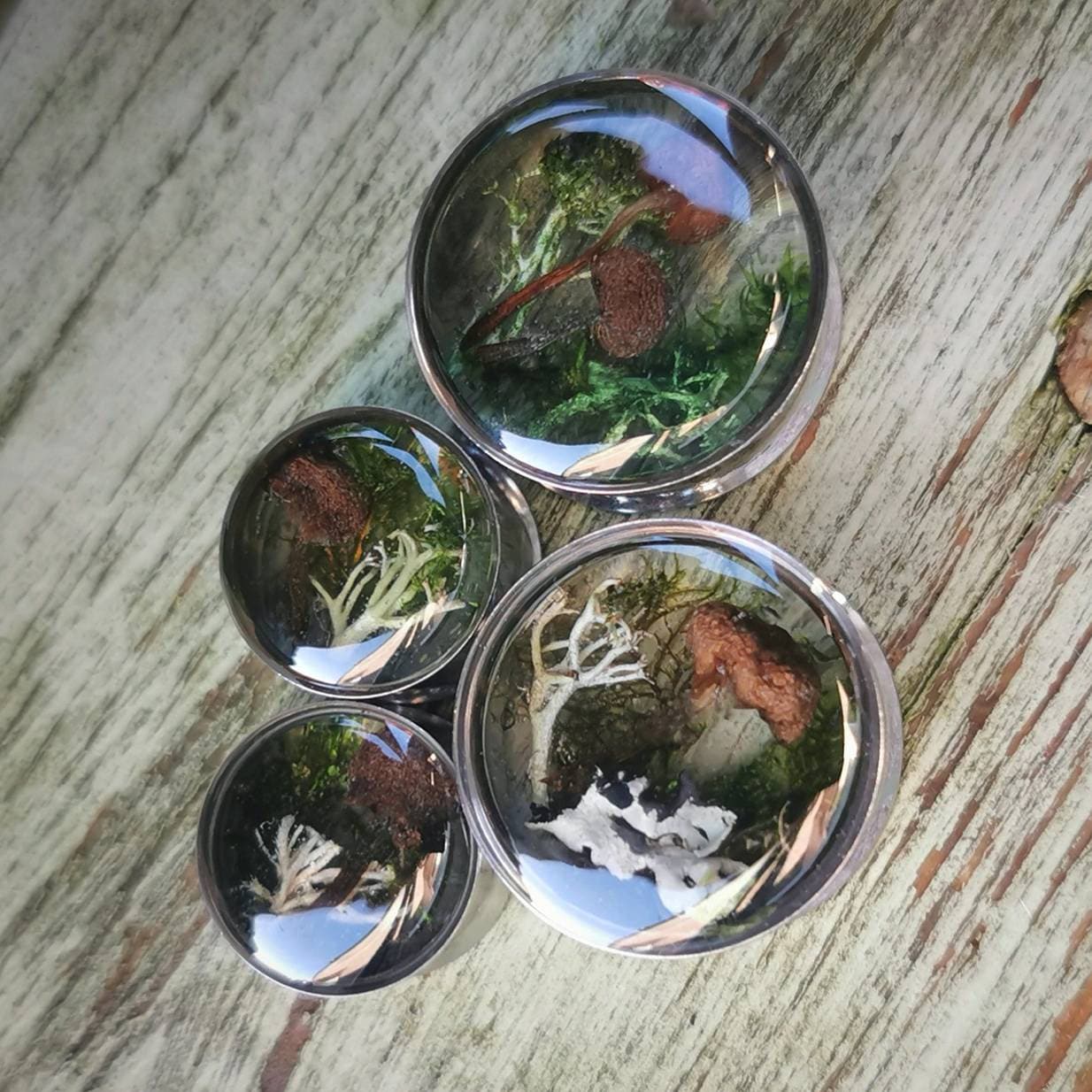 Enchanted Forest Moss and Mushrooms Plugs. FOR PAIR. 10mm and | Etsy ...
