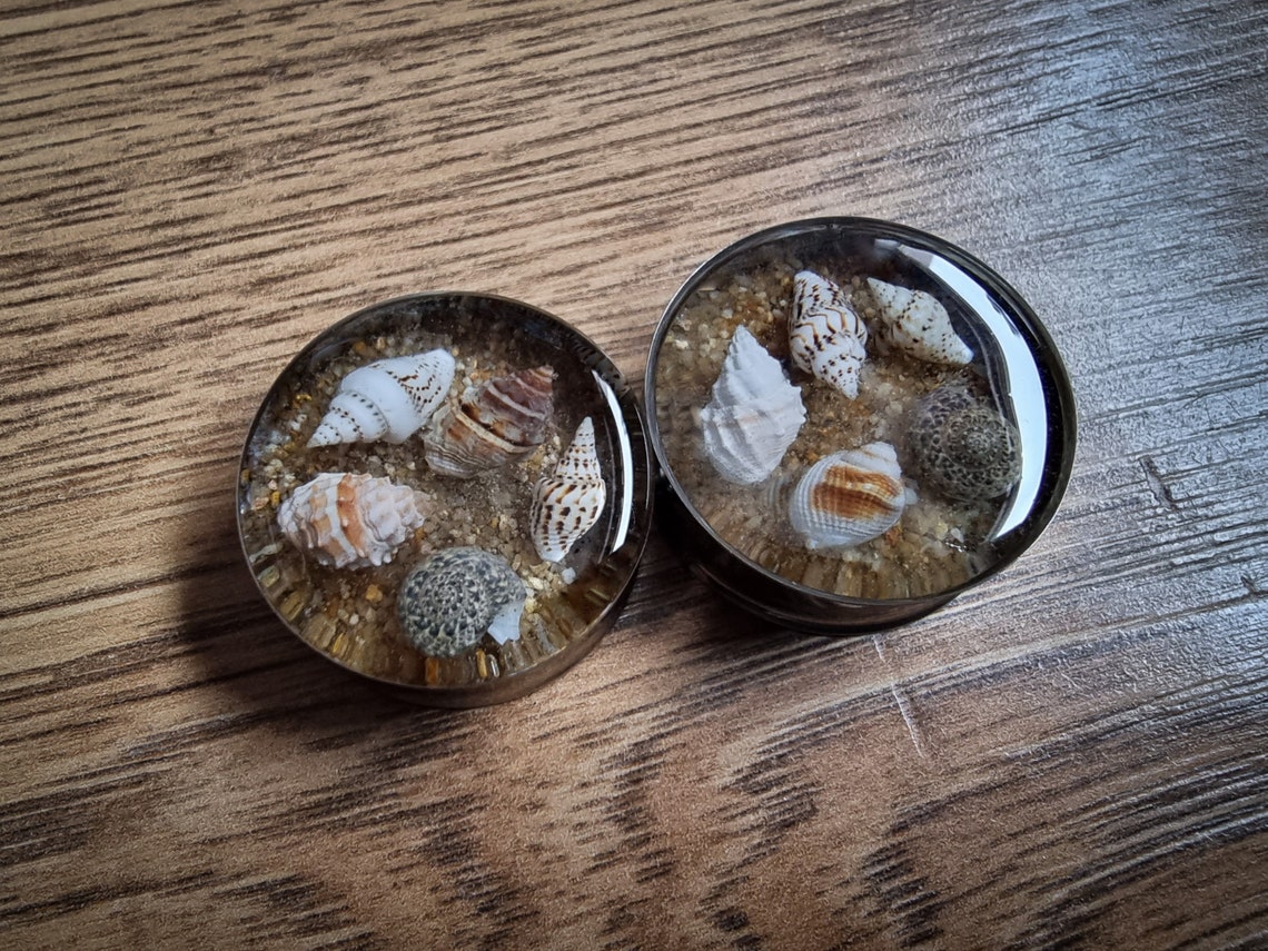 Seashell Plugs With Sand Plugs. FOR PAIR. Real Natural - Etsy