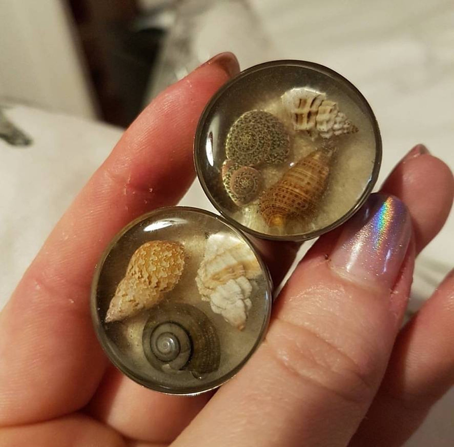 Seashell Plugs With Sand Plugs. FOR PAIR. | Etsy