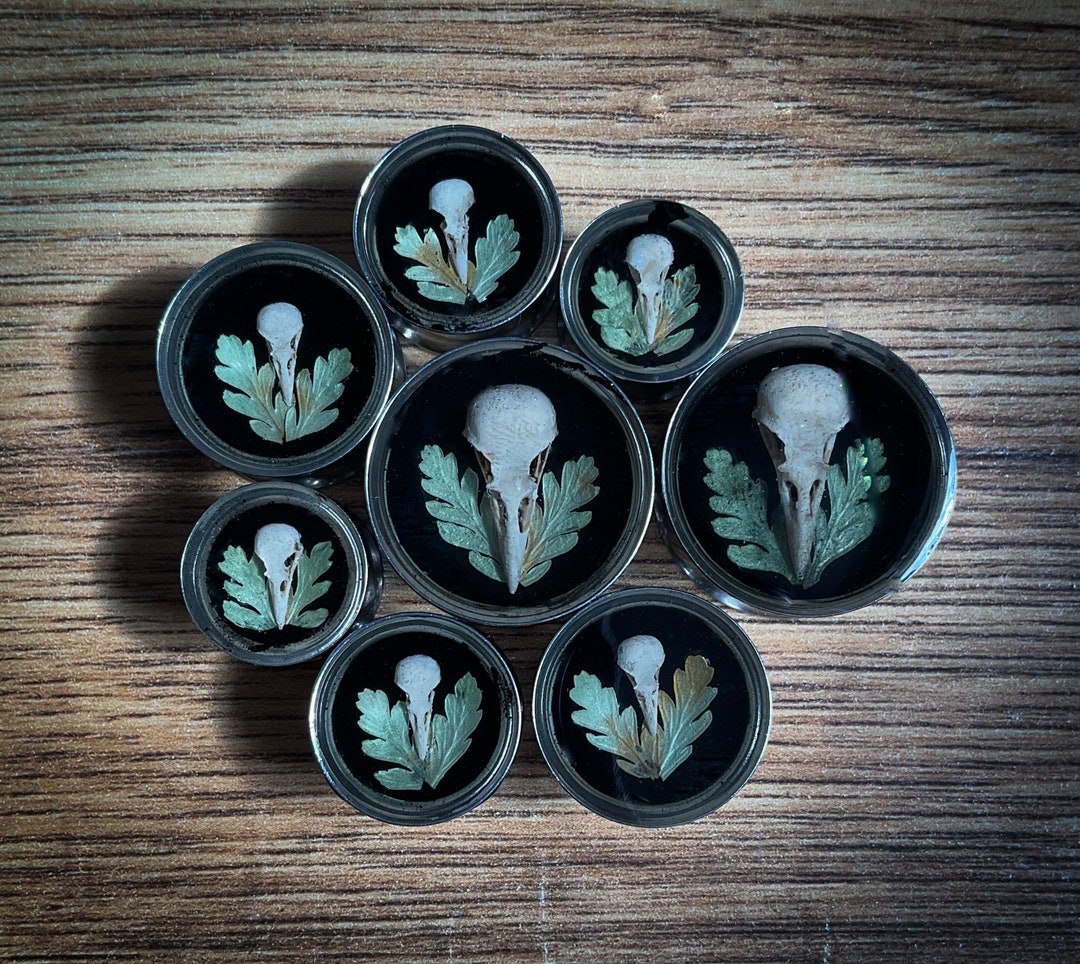 10mm and Up, Hand Painted Bird Skull Plugs With Real Ferns, 10mm and up ...