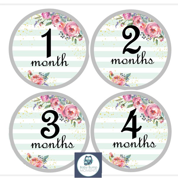 Baby Girl Stickers - Etsy