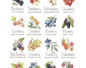 Berry Chart Watercolor Art Print Cheerful Decor for Home - Etsy