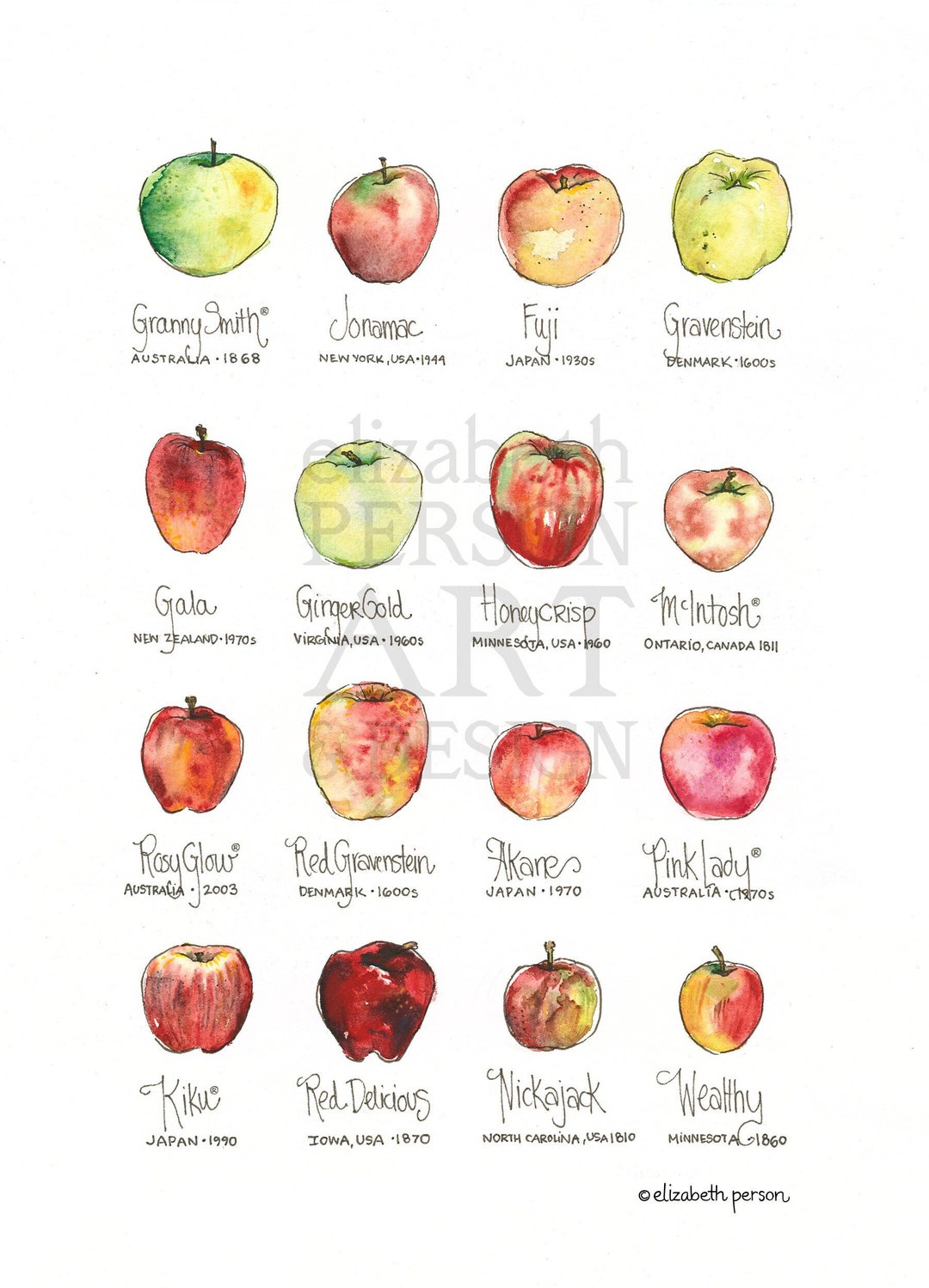 Apple Chart Watercolor Art Print Cheerful Decor for Home - Etsy