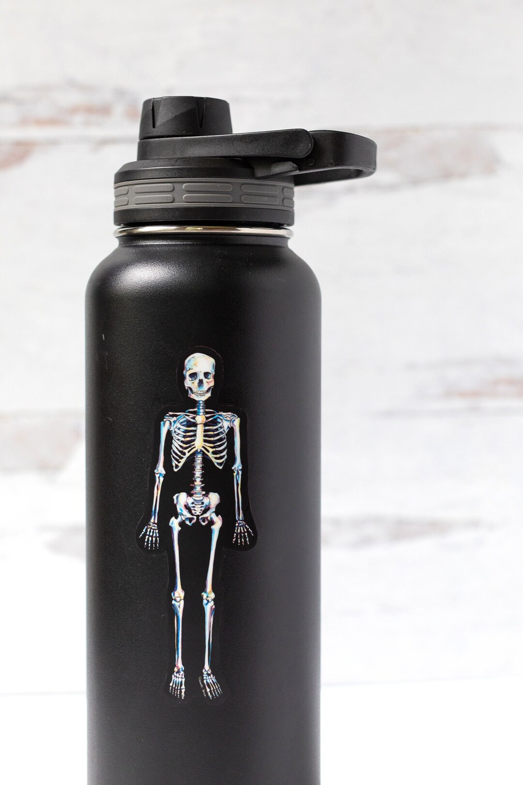 Skeleton Sticker Human Bone Structure PT Physical Therapist Goth ...