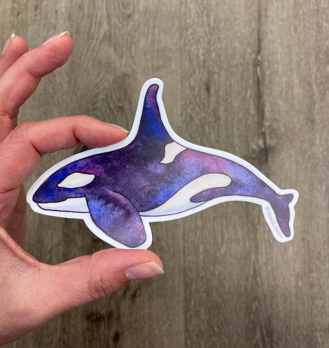 Orca Whale Watercolor Killer Whale Vinyl Sticker for Computer Car ...