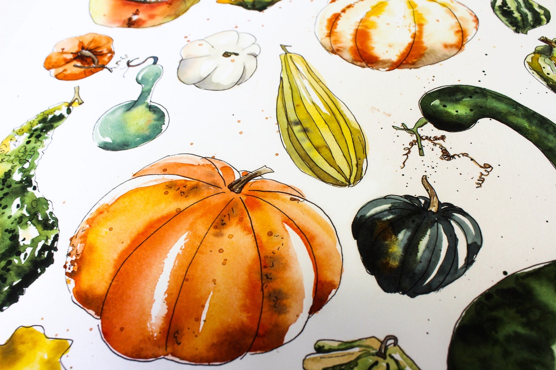 Gourd Watercolor Art Print Pumpkins Art Poster - Etsy