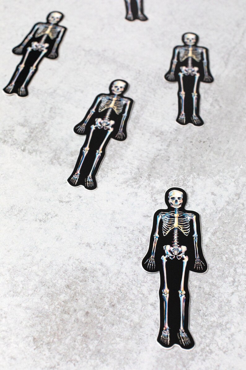 Skeleton Sticker Human Bone Structure PT Physical Therapist - Etsy