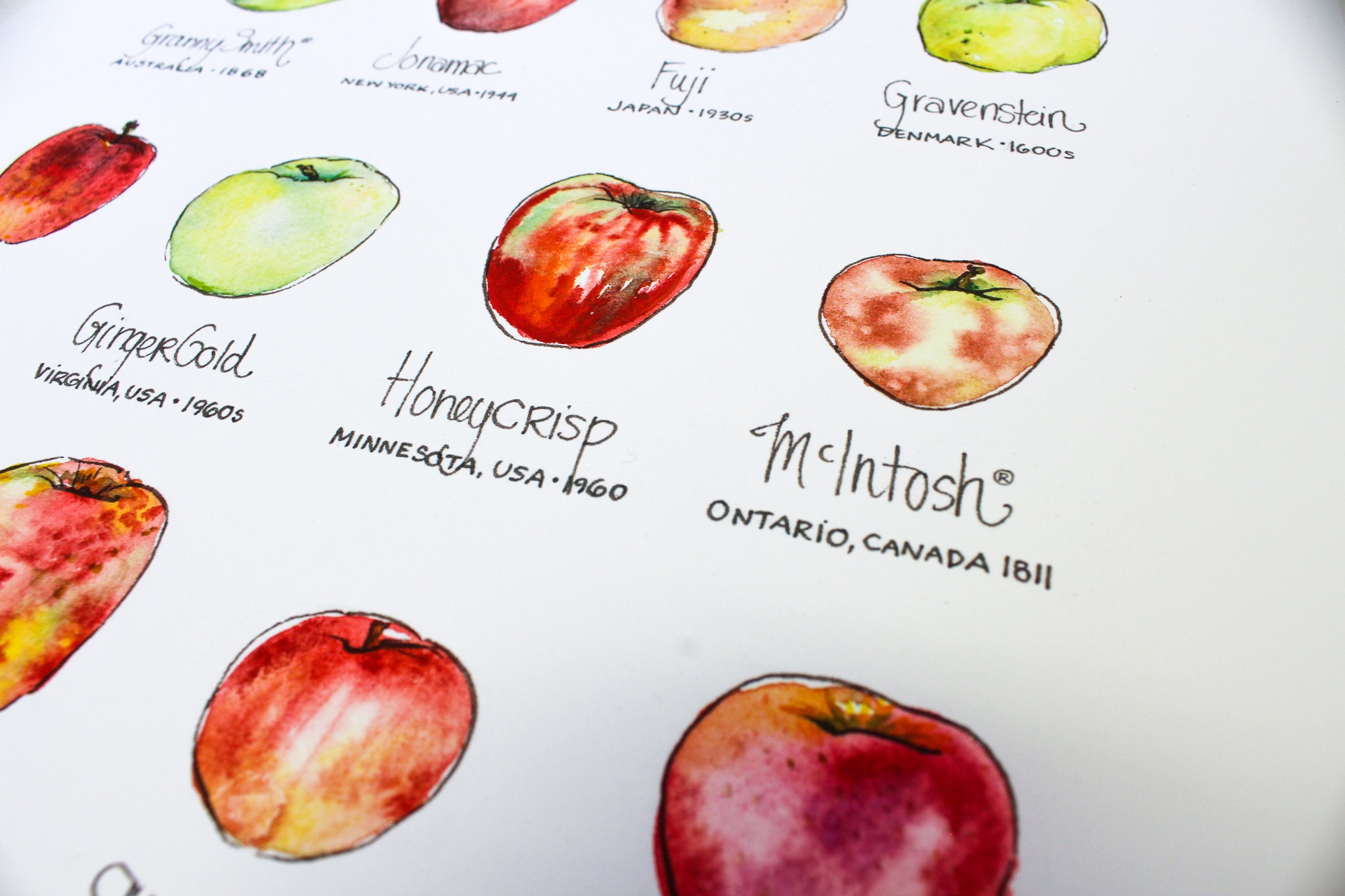 Apple Chart Watercolor Art Print Cheerful Decor for Home - Etsy