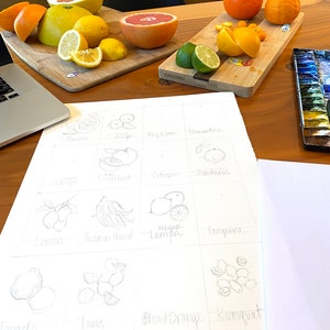 Citrus Chart Watercolor Art Print Cheerful Decor for Home Kitchen ...