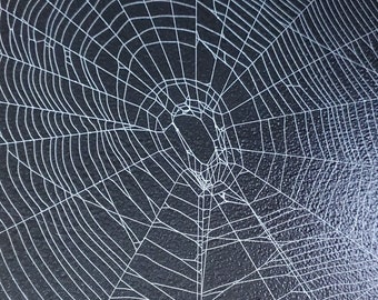 Real Spider Web - Etsy
