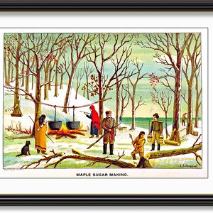 Maple Sugar Making 1898 Illustration Toronto, Canada, DIGITAL File ...