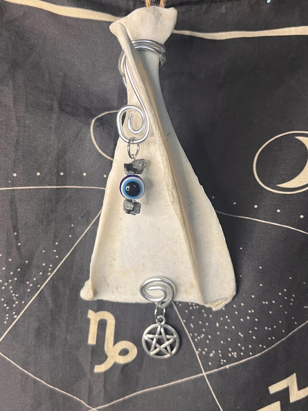 Scapula Sheep Bone Wall Hanging - Etsy