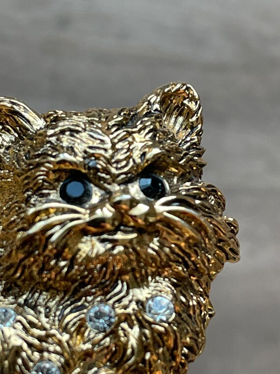 Vintage cat butler pin Long haired cat Rhinestone acc… - Gem